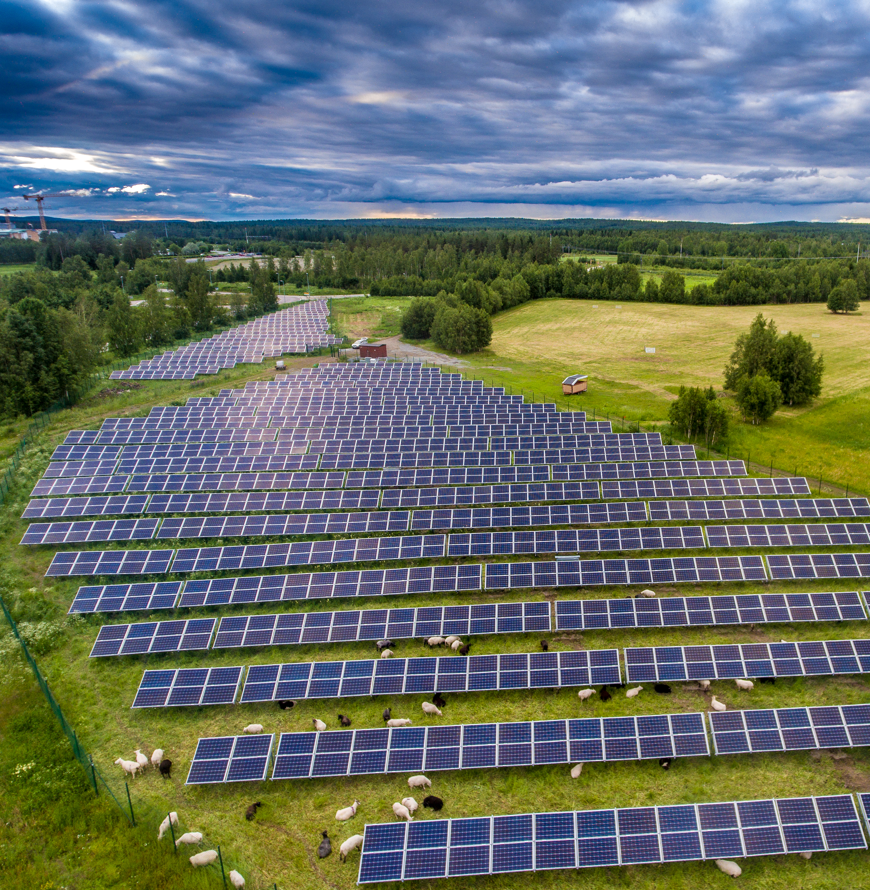 Solkraftspark - Luleå Energi